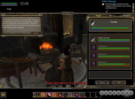 Everquest Original Interface