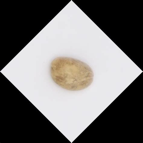 Coffee Beans Dataset Segmentation Instance Segmentation Dataset By