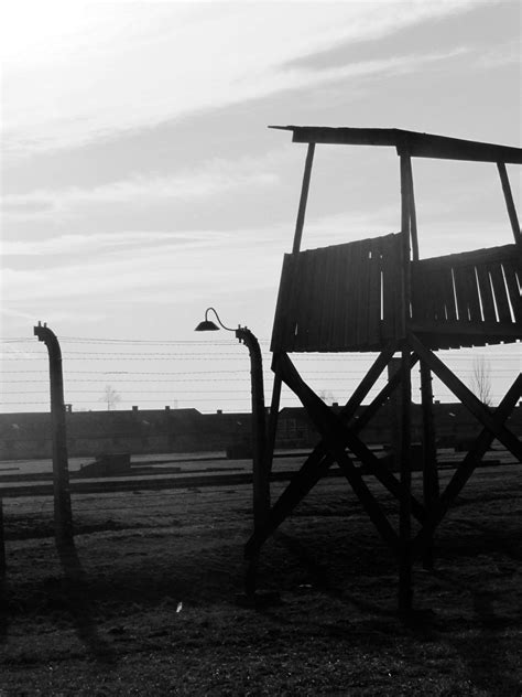 119 Best Auschwitz Birkenau Images On Pholder History Porn Pics And