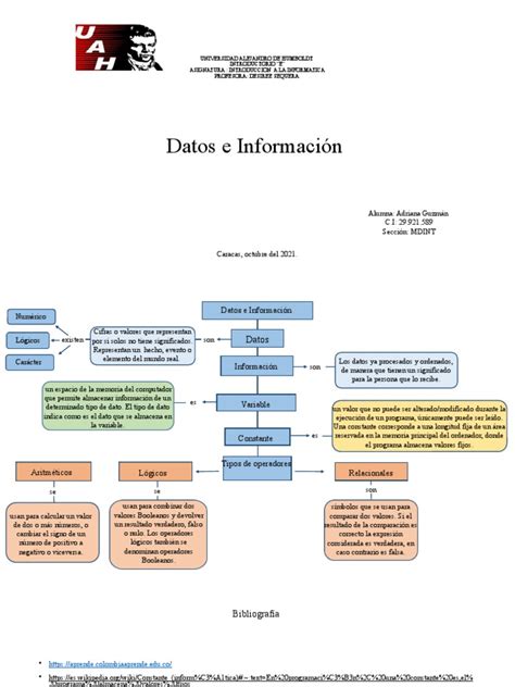 Datos E Informacion Pdf Tipo De Datos Variable Informática
