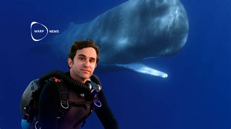🐳 Ai Has Been Used To Identify A Phonetic Alphabet In Sperm Whales