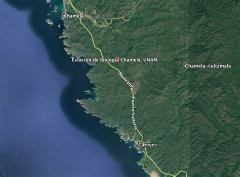 Chamela Mexico Site 100