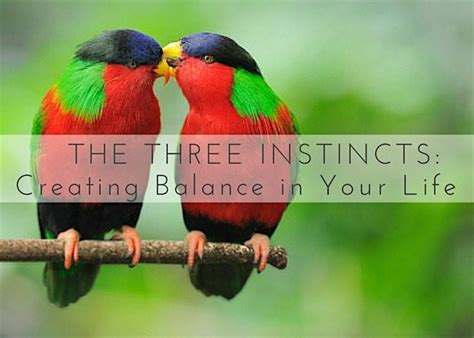 The Three Instincts Subtypes Workshop The Enneagram Center