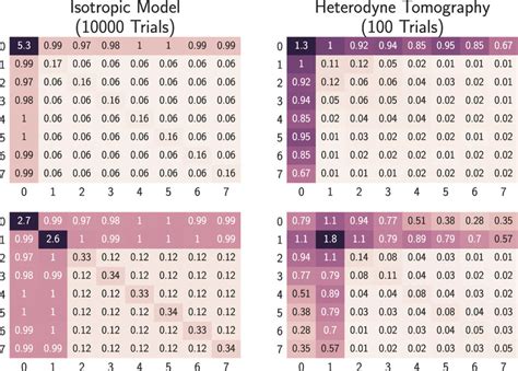 Detailed Comparison Of Isotropic Model And Heterodyne Tomography The