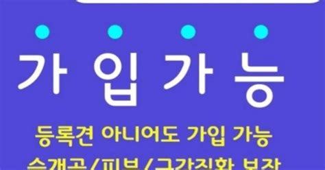 36개 보험사 비교견적 보험금청구 김효진 숨고 숨은고수