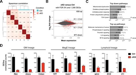 Figures And Data In The H3k4 Methyltransferase Setd1b Is Essential For Hematopoietic Stem And