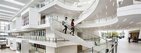 Ucd College Of Science