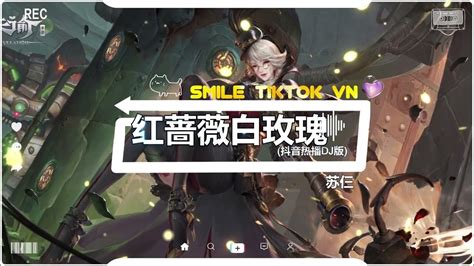 苏仨 红蔷薇白玫瑰 抖音热播dj版 Tường Vi Đỏ Hoa Hồng Trắng Remix Tô Ba『说不出说不