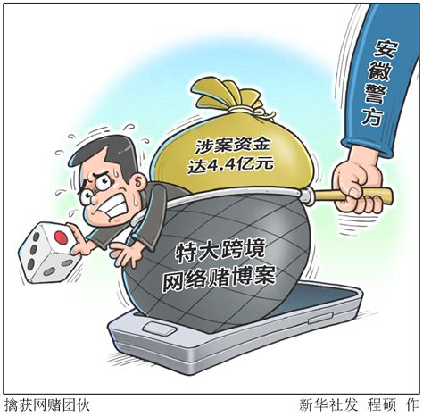 擒获网赌团伙 法治网
