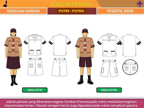 Mengenal Seragam Pramuka Siaga Model Warna Dan Atributnya
