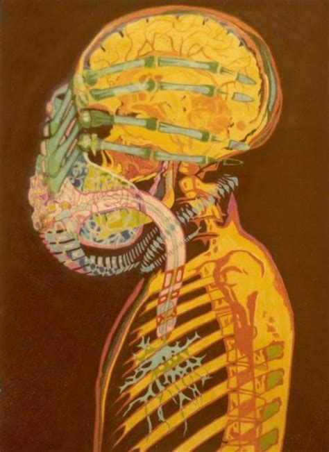 Facehugger Alien Anatomy Les Aliens Aliens Movie Aliens And Ufos