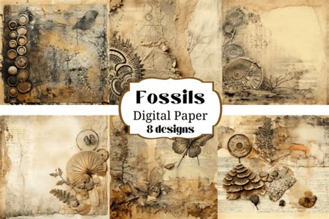 Fossil Fossils Sepia Tone Digital Papers Graphic By Laura Beth Love