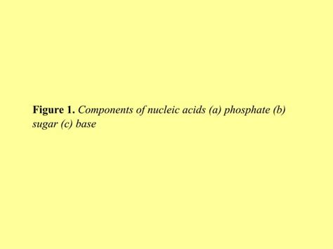 Chemistry Of Nucleic Acid And Classification Ppt