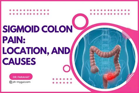 9 Best Juices For Ibs And How To Drink Them Safely Oh My Gut