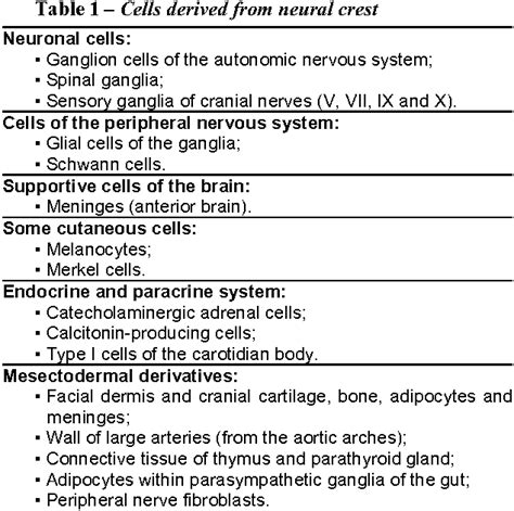 Table 1 From Evidence On The Neural Crest Origin Of Pecomas Semantic