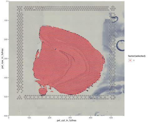 Images And Spot Coordinates • Semla