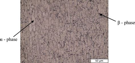 Ti 6al 4v Alloy Microstructure Download Scientific Diagram