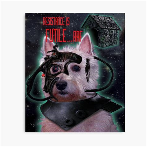 Borgi Pups Outdoor Board