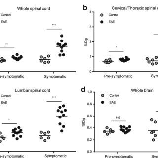 Quantification Of 18 F FSPG PET Signal In CNS Tissues Of