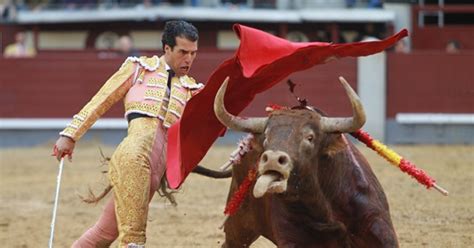 포토 스페인 투우경기 누가 이기나 해보자