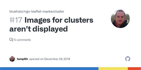Images For Clusters Aren T Displayed Issue Bluehalo Ngx Leaflet Markercluster GitHub