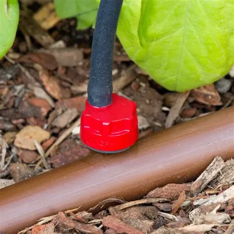 Xb757cv Dripper Rain Bird Xeri Bug Emitter 757lph Pc Cw Check Valve