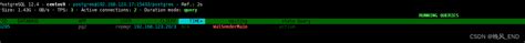 Postgresql数据库实时数据库监控利器 Pgactivity 的部署和初步使用postgresql 执行的语句如何监控查看 Csdn博客