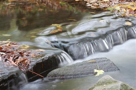 Premium Photo Stream Flowing In River
