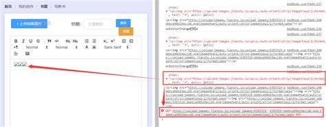 Vue使用富文本粘贴图片和html访问图片资源的403问题 Referrervue富文本图片403 Csdn博客