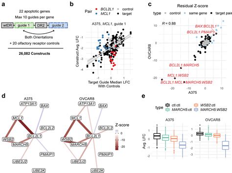 Optimization Of Ascas12a For Combinatorial Genetic Screens In Human