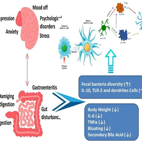 Psychological Conditions Can Disrupt Normal Gastrointestinal Tract