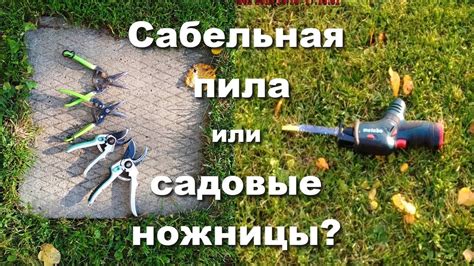 Сабельная пила или садовые ножницы? - YouTube