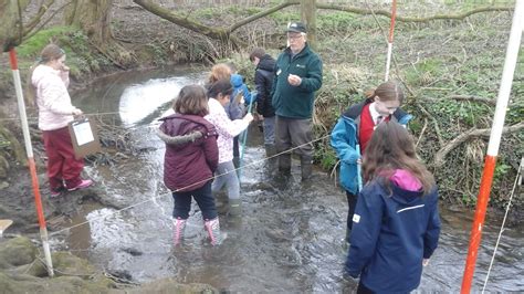 Staverton Ce Primary School Class 4 River Trip 2019