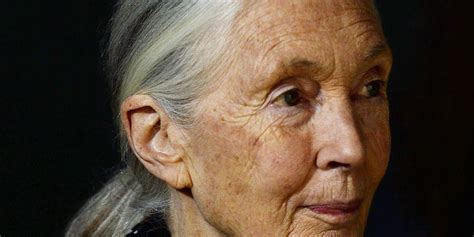 All The Goodness Of Jane By Mark Bittman