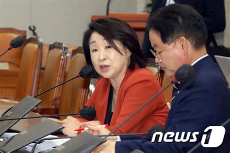 발언하는 심상정 정의당 의원 뉴스1