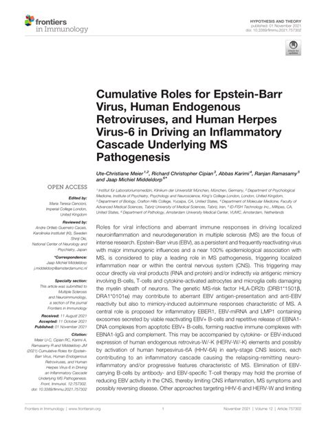 Pdf Cumulative Roles For Different Viruses In Driving An Inflammatory Cascade Underlying Ms