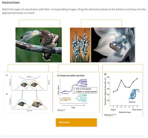 Coevolution Examples Predator And Prey