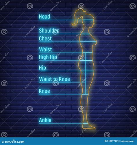 Hembra Macho Neón Brillo Tamaño Carta Anatomía Personas Humanas Maniquí