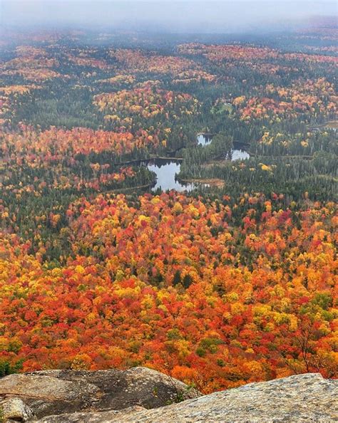 10 Best Leaf Peeping Spots In The U S 2022