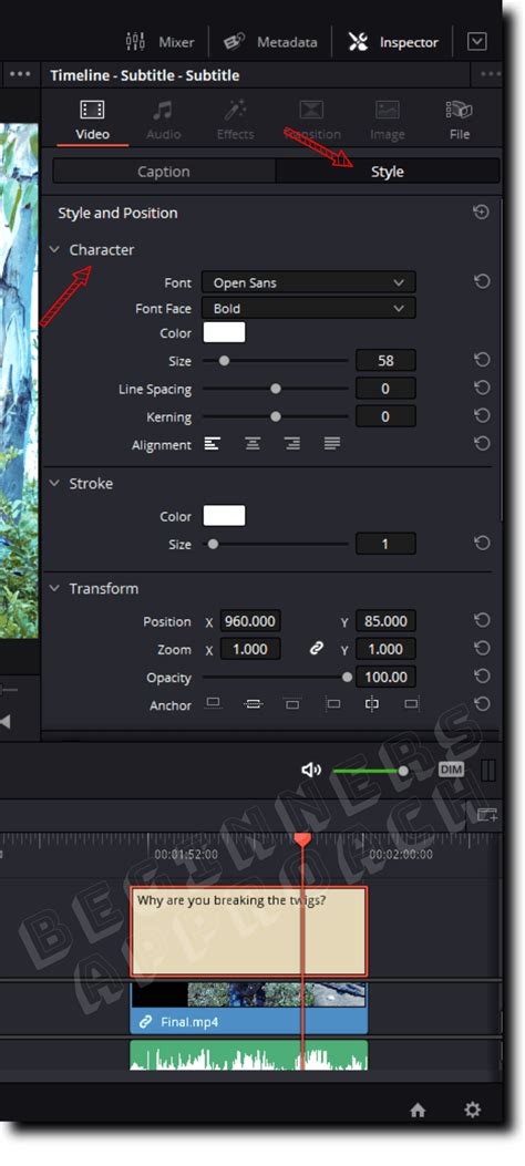 Davinci Resolve Add Import Subtitles 3 Must Know Tips