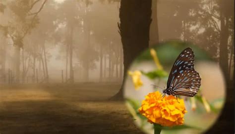 How To Overlay Video In Davinci Resolve Video Over Video