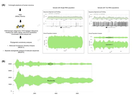 Fig S Flowchart Illustrating Hive Algorithms Used To Identify Distinct