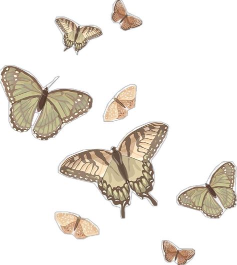 Download Premium Png Of Green Butterfly Png Sticker Watercolor Collage