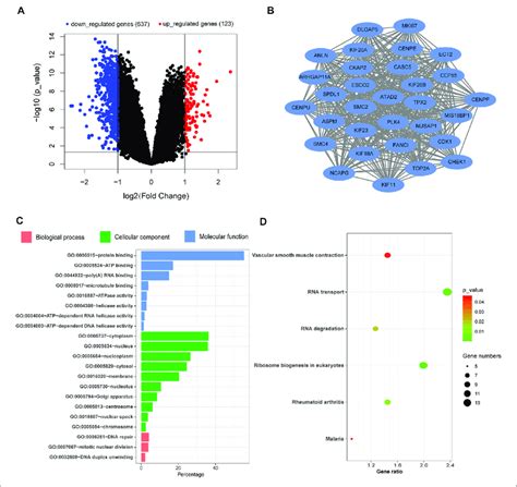 Analysis Of The Gene Expression Profile Dataset Related To Pulmonary Download Scientific