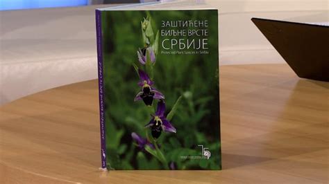Upoznajte Retke Ugrožene Endemične I Reliktne Biljke Srbije Завод за заштиту природе Србије
