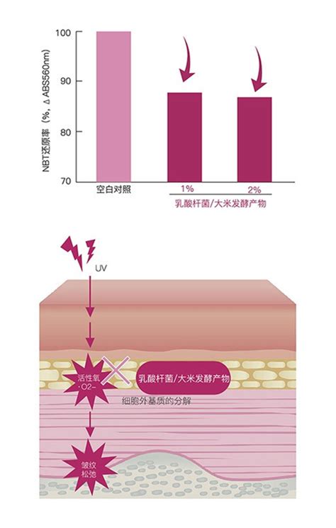 乳酸杆菌 大米发酵产物 microlife益生菌原料与功能食品配料