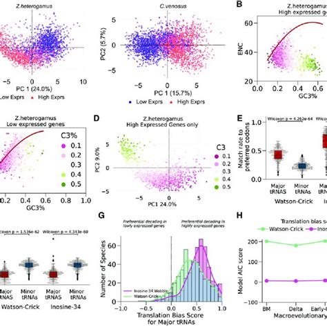Signatures Of Mutational Bias And Natural Selection On Within Genome Download Scientific
