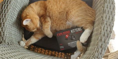Exploding Kittens NSFW 18 Editie Speluitleg Unboxing Review Spellenwijs