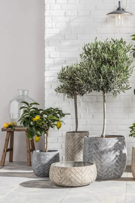 Faux Green Leaf Tree Faux Tree Green Leaves Dining Room Makeover