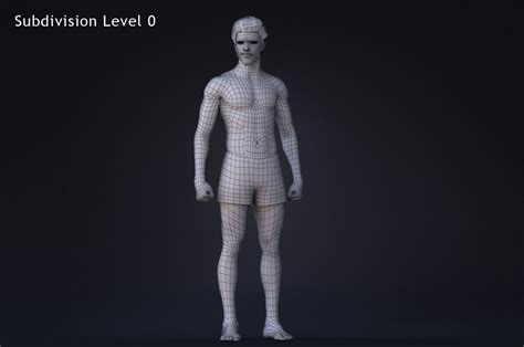 3D Model Male Base Rig VR AR Low Poly CGTrader